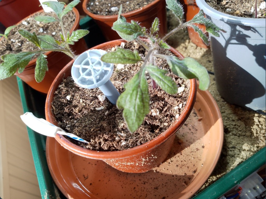 Small watering spike for pot plants with OpenSCAD - NextPrint 3D Model ...