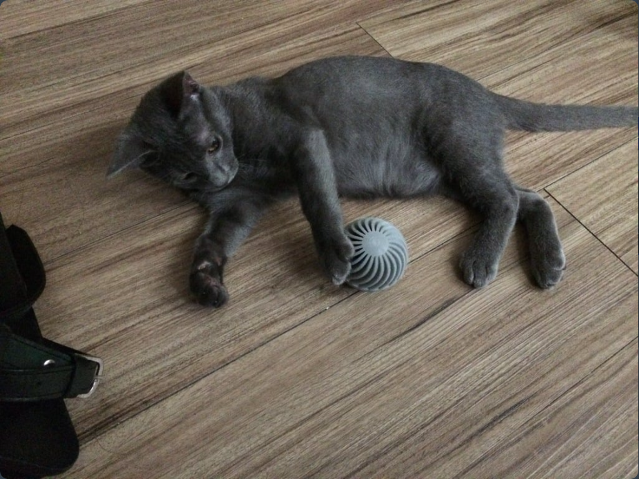 Cat toy ball - U0079924796 | Nexprint: Free 3D Model Downloads